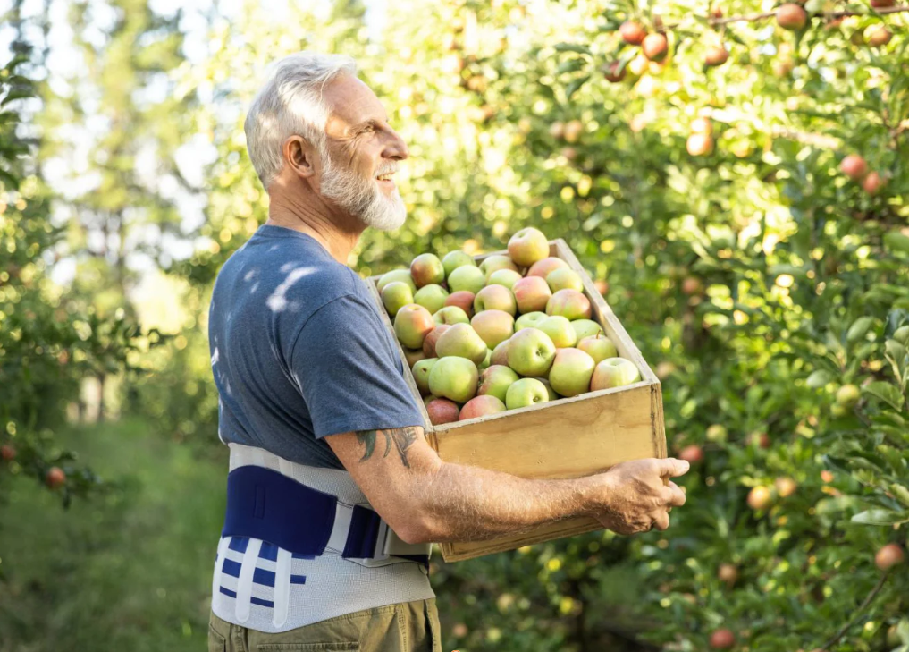 Disc Herniation – PÄrzt